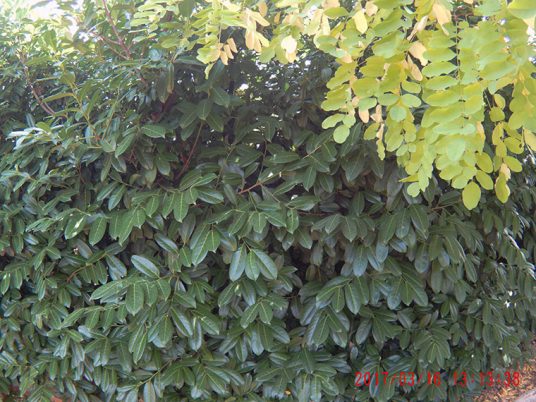 Review: 3SIXT Ultra HD WiFi Sports Action Camera