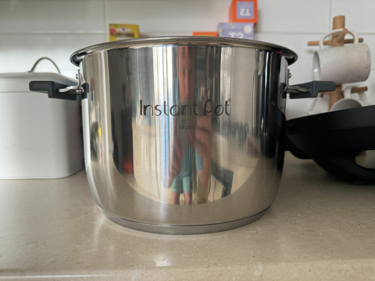 Instant Pot Pro Plus review: let him cook