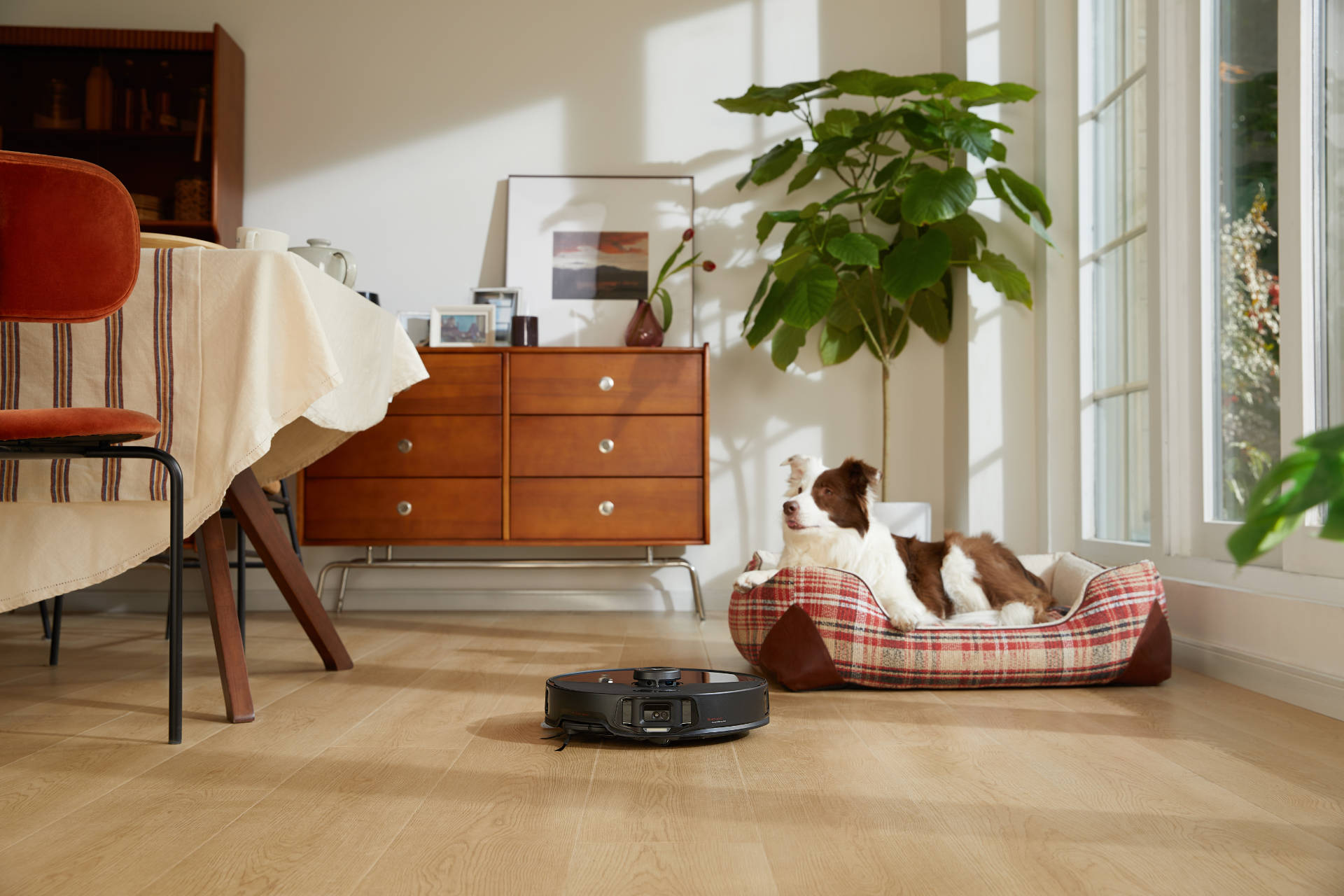 Roborock S8 MaxV Ultra review: the best robot vacuum there is