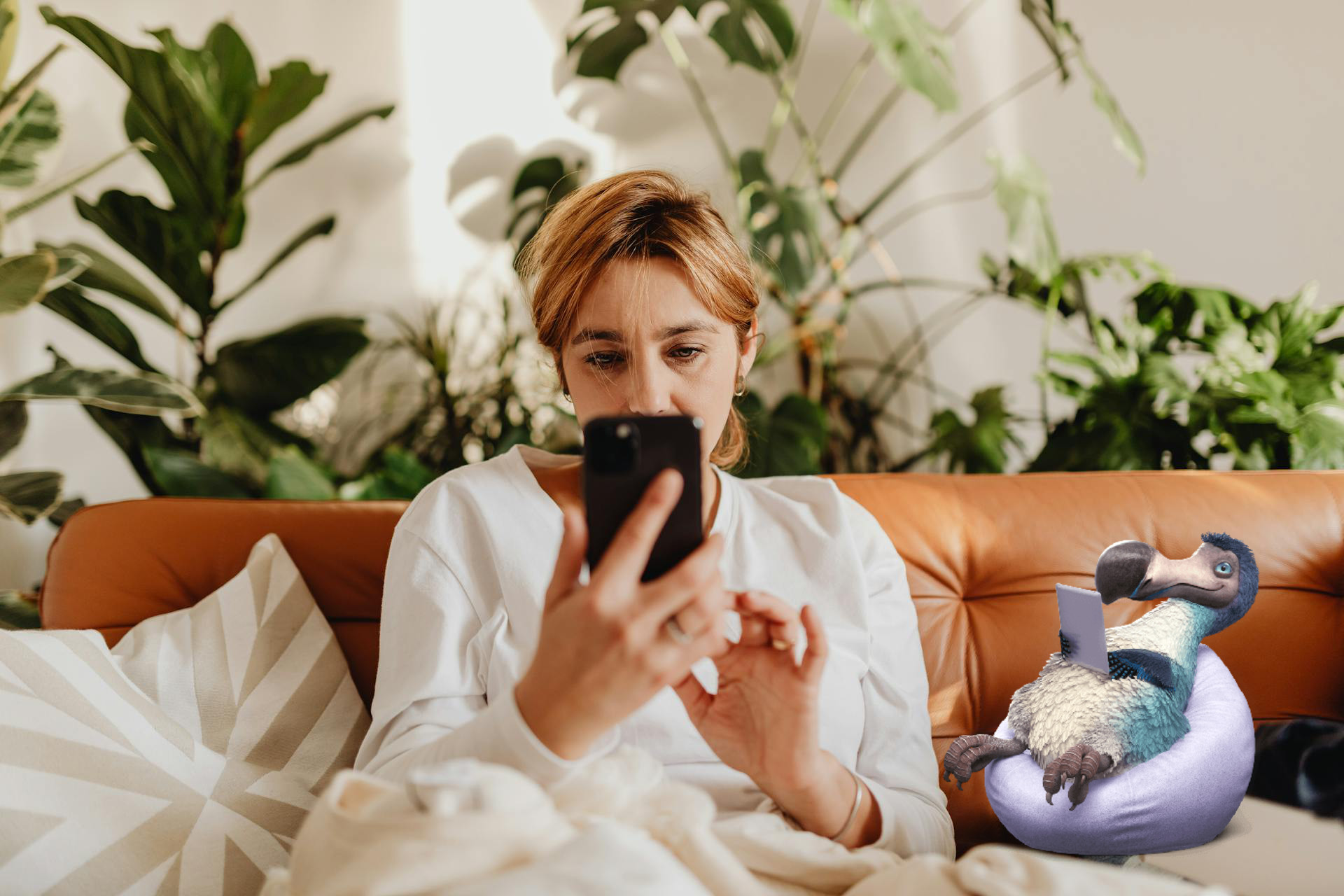Australians' online winter habits revealed: Dodo internet report