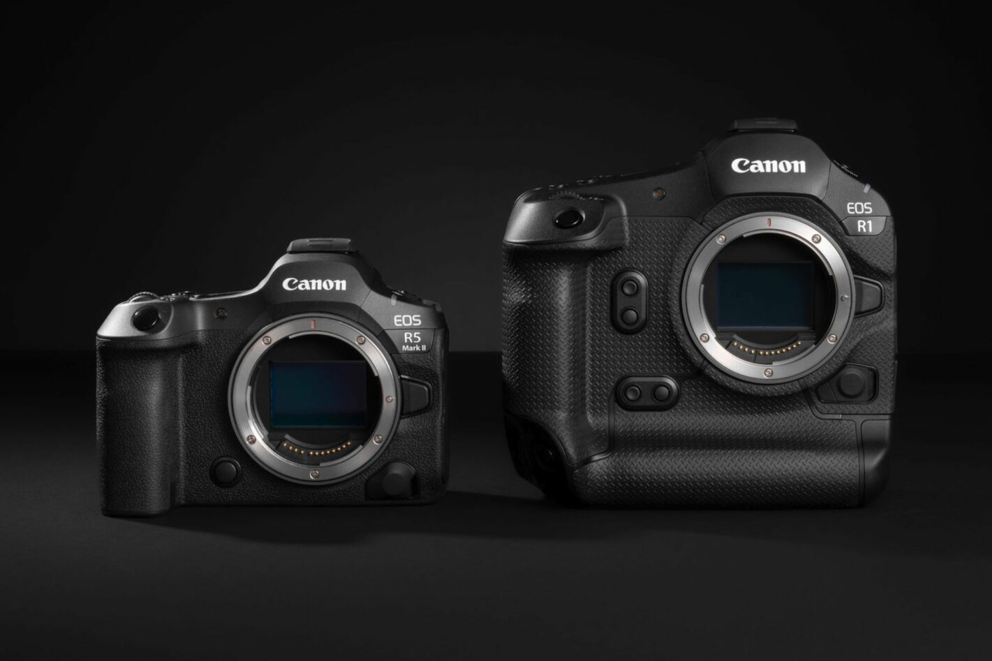 Canon EOS R1 sports a huge auto-focus upgrade